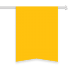 Go-Kart Racing Flags: What do They Mean? | GoKartGuide
