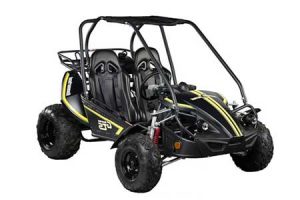 How Much Does a Go-Kart Cost? All Go-Kart Types Compared | GoKartGuide